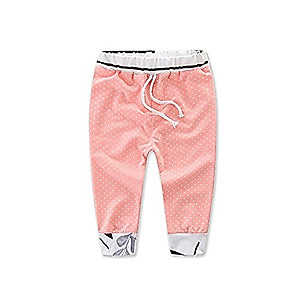 Askwind Baby Girls Floral Hoodie+ Floral Pant Set Leggings 2 Piece Outfits (12-18 Months, Pink)