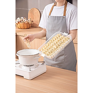 LOEZ 4-Layer Food Storage Container, Stackable Snack Container with Lid, Dumpling Box, Gyoza Container, Cookie Storage Containers, Good Sealing, Time Recoder (White)