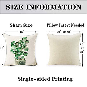 Hexagram Decorative Green Plant Pillow Covers 18x18, Succulent Green Leaf Summer Throw Pillow Covers Set of 4 for Living Room Couch Sofa Patio Outdoor Indoor Summer Cactus Green Home Decor