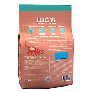 Lucy Pet Products Formulas for Life - Sensitive Stomach & Skin Dry Cat Food, All Breeds & Life Stages - Salmon, Pumpkin, & Quinoa, 4 LB Bag
