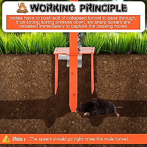 Qualirey 2 Pcs Mole Trap for Lawns, Spear Style Mole Killer for Garden Yard Outdoor, Alloy Steel Mechanical Vole Gopher Trap, Quick and Clean Mole Traps That Kill Best