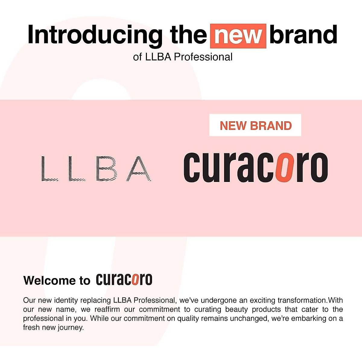 LLBA Promade Mix 750 Fans | Handmade Volume Eyelashes | Multi Selections From 5D To 12D | C CC D Curl | Thickness 0.03~0.1 mm | 9-18mm Length | Long Lasting | Easy Application 10D-0.03 D 13-14-15mm