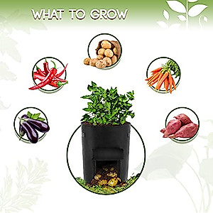 PIC N PAC GROWERS Potato Grow Bags 10 Gallon with Flap Window -Portable Garden Bags to Grow Vegetables & Fruit - Our Grow Bags are Made from a 300g Sturdy, Thick Non-Woven Fabric - 3 Pack