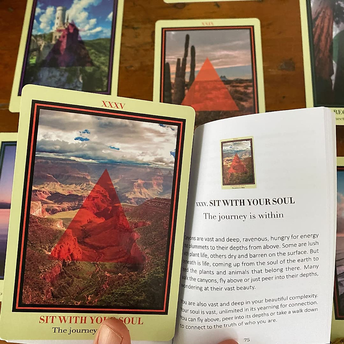 The Power of The Elements Oracle Cards. 45-Card Deck and Guidebook. Beautiful Colorful Images and Divinely Channeled Messages for Lovers of Oracle Cards
