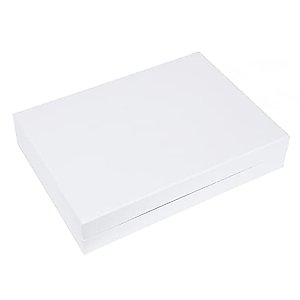 Bigso Karin Collapsible Storage Box | Photo Storage Box with Labelframe for Identification | Simple Assembly without Tools | Decorative Storage Boxes with Lids | 8.9″ x 12.4″ x 5.4″ | 2 Pack | White