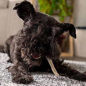 Pet Factory American Beefhide 5" Twist Sticks Dog Chew Treats - Natural Flavor, 1 lb