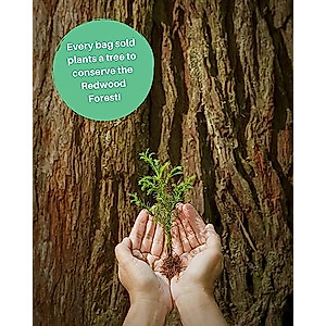 IvyMay Redwoods Potting Soil ― Organic Potting Mix for Indoor House Plants & Aroids, Ready to Use Potting Soil Indoor Plants with Perlite, Earthworm Castings, Essential Oils ― 4 qt