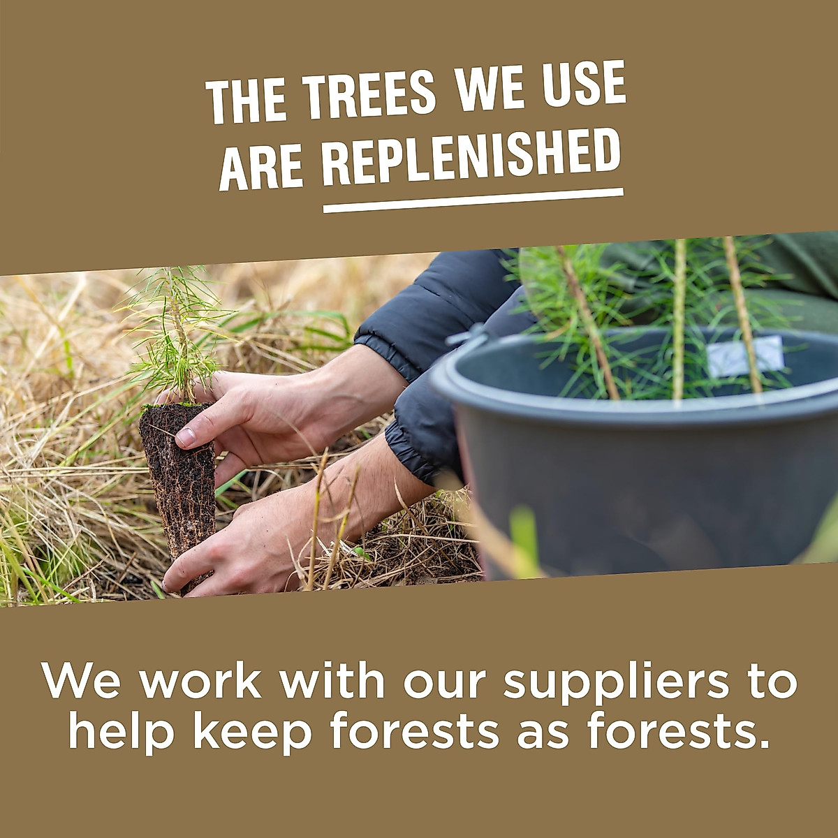 Vanity Fair Entertain Paper Napkins, 320 3-Ply Disposable Napkins, Dinner Size (8 packs of 40 Napkins)