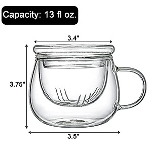 Tosnail 2 Pack 13 Ounce Glass Tea Cup with Lid and Tea Infuser Set, Tea Mugs with Strainer, Clear Teacups with Tea Filter, Glass Cups for Loose Tea Brewing