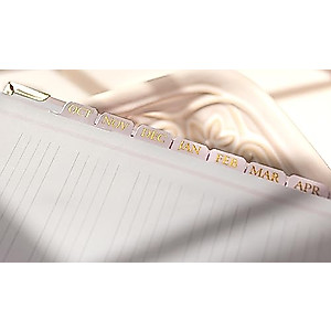 The Nursing School Planner, The Essential Nursing Student Planner, Student Nurse, Nursing Student Essential Student Gifts August 2023 - Nursing Academic Planner - Nursing School Essentials, Weekly