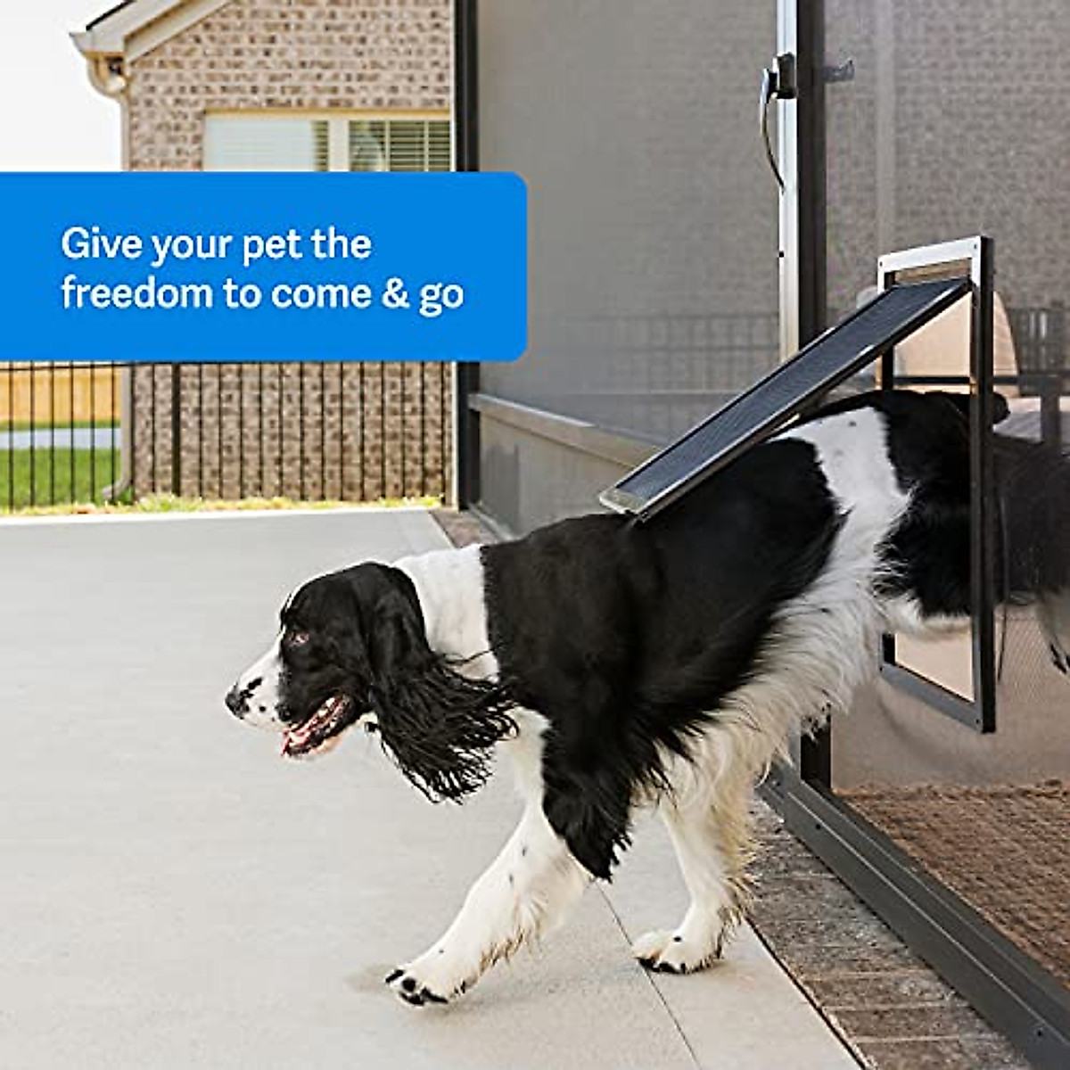 PetSafe NEVER RUST Screen Door - Size Small – For Dogs and Cats up to 30 lb – Use in Screen Doors – Window Screens and Porch Screens