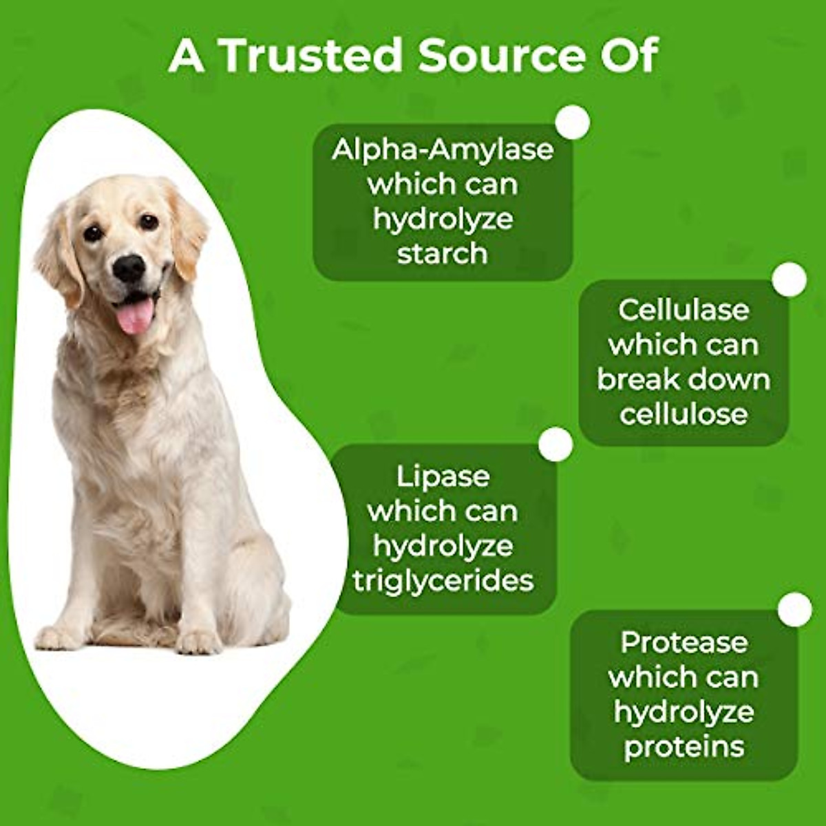 PawMedica Dog Probiotics and Digestive Enzymes, Probiotics for Dogs Made in USA, Pet Probiotic Chews for Dogs, Prebiotics & Probiotic Dog Digestive Support, Probiotic Treats - 60 Dog Probiotic Chews