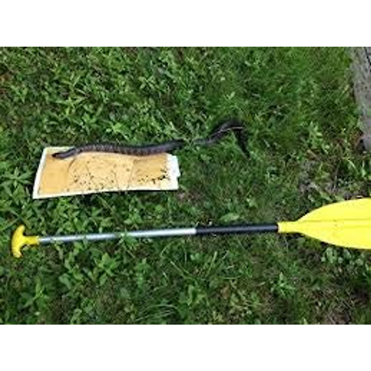 Snake Trap Large, (Foldable, Reusable 32"x10"x 3") with (1) Catch Insert, Commercial Grade, Made of Strong Corrugated Plastic in Alabama, USA