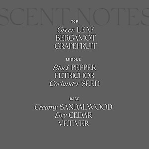 Antica Farmacista Home Ambiance Diffuser, 10.8 Fl Oz, Tarmac