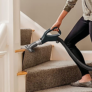 Shark Navigator Zero-M Self-Cleaning Brushroll Pet Pro (ZU62) Upright Vacuum, Pewter Grey Metallic (Renewed)