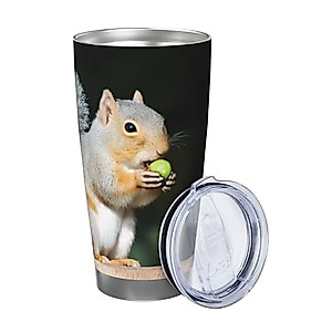 NHJKLWQSZ Cute Squirrel 20oz Stainless Steel Tumbler With Lid And Straw, Double Wall Vacuum Insulated Coffee Mug Travel Cups Leak-Proof Lid For Hot And Cold Drinks, Metal Straws And Brush