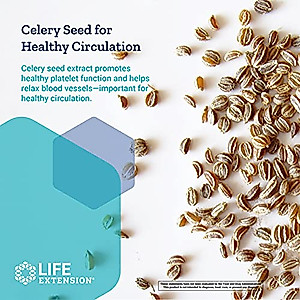 Life Extension Advanced Olive Leaf Vascular Support Promotes Cardiovascular & Circulatory Health – Gluten-Free, Non-GMO, Vegetarian – 60 Vegetarian Capsules