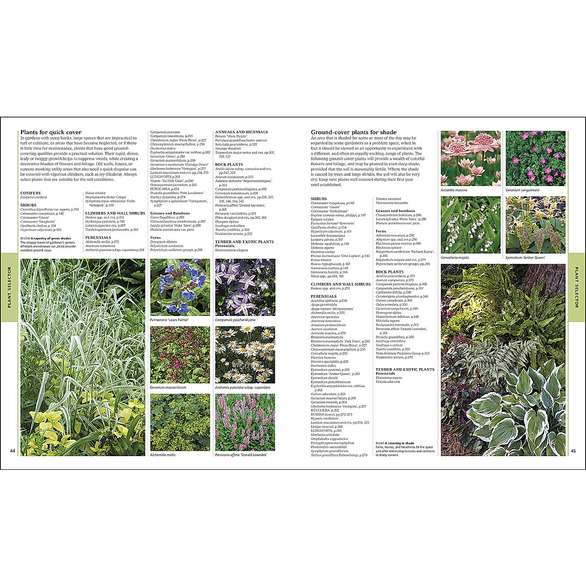 Encyclopedia of Plants and Flowers
