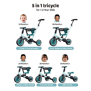 newyoo TR008 Toddler Push Tricycle, Toddler Bike for 1-3 Years Olds, Birthday Gift for Boys and Girls, 5 in 1 Balance Bike with Handle, Kids Trike with Safe Bar, Green