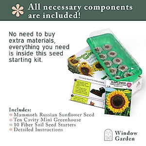 Window Garden Mammoth Sunflower Grow Kit - Giant Sunflower Planting Seeds Starter Pack - Germinate Seeds on Your Windowsill, Mini Greenhouse System - with 10 Fiber Soil Seed Starters