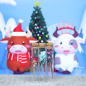 VOFUWS 30pcs 25ml Clear Flat Glass Test Tubes with Cork Stoppers for Scientific Experiments, Party Decorations, Candy Storage,as Bath Salt Containers(20×100mm)