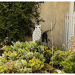 Holographic Owl Bird Deterrent- Scares Birds Away from Buildings, patios, Balconies and Gardens