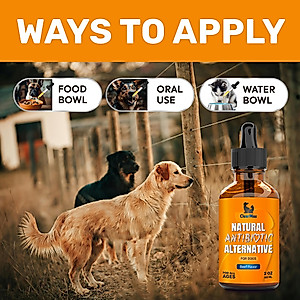 Antibiotic for Dogs ◆ Dog Antibiotic ◆ Natural Antibiotics for Dogs ◆ Pet Antibiotic ◆ Dog Antibiotics with Beef Flavor ◆ 2 Oz