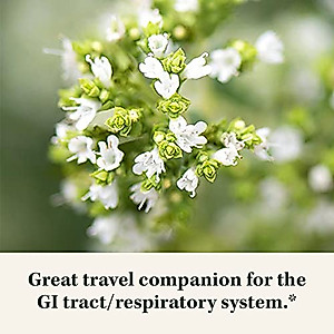 Gaia Herbs Oil of Oregano - Immune and Antioxidant Support Supplement to Help Sustain Overall Well-Being - with Oregano Oil, Carvacrol, and Thymol - 60 Vegan Liquid Phyto-Capsules (30-Day Supply)