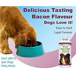 Multi vitamin liquid for dogs probiotics for dogs digestion liquid antioxidants for dogs immune support Salmon omega 3 fish oil liquid - liquid dog vitamins and minerals senior dog multivitamin liquid