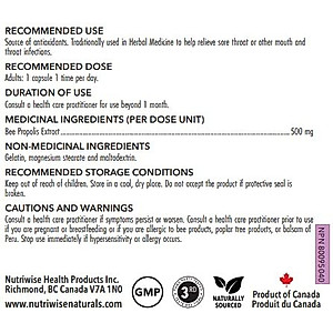NutriWise Brazilian Bee Propolis Extract immune support 500mg
