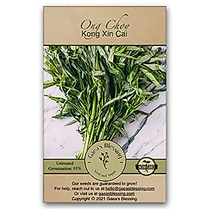 Gaea's Blessing Seeds - Ong Choy Seeds - Kong Xin CAI Kangkong - Non-GMO Seeds with Easy to Follow Planting Instructions 94% Germ Rate (Pack of 1)