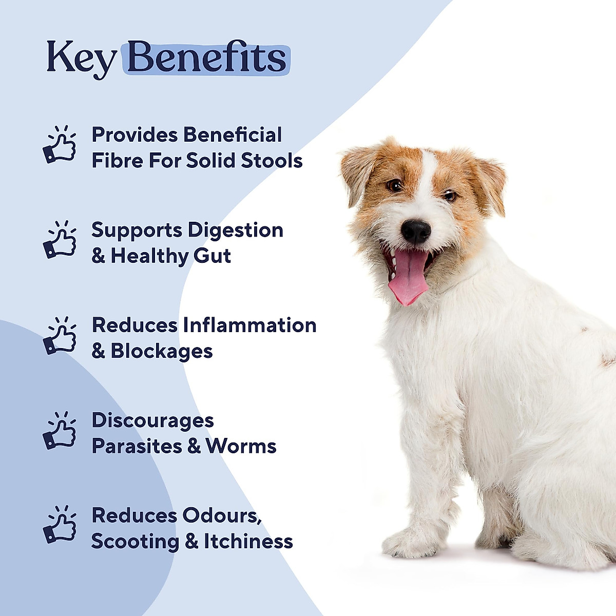 Pawfy Anal Gland Chews for Dogs | Natural No Scoot Remedy with Probiotics – Helps with Constipation, Digestive Health, and Gas Relief | Promotes Healthy Poops & Comfort - 30 Dog Supplements