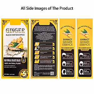 500ml Ginger Black Hair Shampoo, Ginger Shampoo Fast Black Hair Hair Color Dye Nourishing Shampoo, 2-in-1 Semi Permanent Shampoo Last 30 days,5 Minutes Finsh