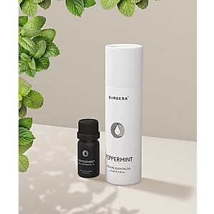 Bursera Peppermint Essential Oil, Tree Planted with Every Order, 100% Pure Peppermint Oil, 10ml Undiluted High Grade Natural Peppermint Oils for Diffuser, Shower, Skin and Aromatherapy