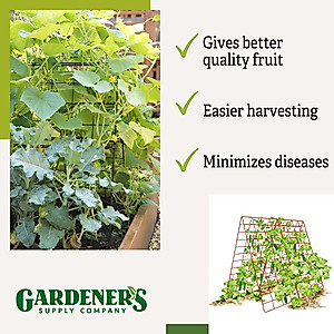 Gardener' s Supply Company Deluxe Cucumber Trellis | Outdoor A-Frame Trellis Plant Support for Vining Vegetables with 4" Grids for Easy Harvesting | 32" W x 46" H - Green