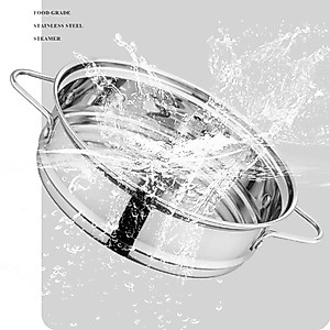 BinaryABC Stainless Steel Steamer Dumpling Steamer Food Steamer Basket Veggie Steamer Basket Rice Noodle Roll Steamer Insert Pot,20cm