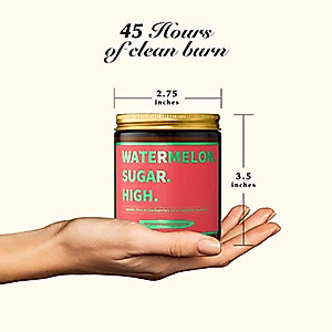 Watermelon Sugar High - Handmade Natural Soy Candle - Harry Styles Candle - Harry Merch - Harry S One Direction Present Idea Music Themed Gift for Fans