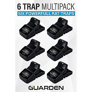 Rat Traps That Work (6 Pack) - Easy to Bait and Set, Rat Traps Indoor for Home, Large Rat Trap Outdoor - Trampas para Ratones/Trampas para Ratas - Forget Electric Traps, Choose Snap Traps for Rats