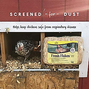 Manna Pro Fresh Flakes | Chicken Coop Bedding | Pine Shavings for Chicken Bedding | 4 Cubic Feet