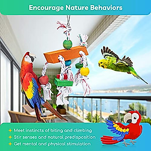 Nobleza Bird Toys, 2 Pack Parrot Chew Toys with Nature Wood Non-Toxic Safe Cotton Rope, Colorful Foraging Toys Bird Cage Accessories for Parrots, Cockatiels, Parakeets, Budgies