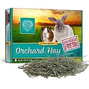 Small Pet Select Orchard Grass Hay Pet Food for Rabbits, Guinea Pigs, Chinchillas and Other Small Animals, Premium Natural Hay Grown in The US, 5 LB