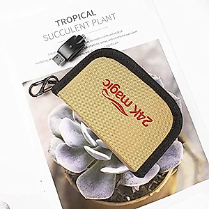 Wenod Daily Carrying Bag with Buckle, Deluxe Five One Zero Carrying Case and Charger Set Without Device,Champagne Gold.