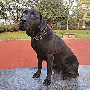 DAIHAQIKO Dog Collar，Leather Dog Collar Classic Heavy Duty Dog Collar Genuine Leather Collar, Soft and Durable for Small, Medium, Large, Extra Large Breed Dogs