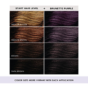 KERACOLOR Clenditioner for Brunettes PURPLE Dye, Semi Permanent Hair Color Depositing Conditioner, Cruelty-free, 12 Fl Oz (Pack of 1)