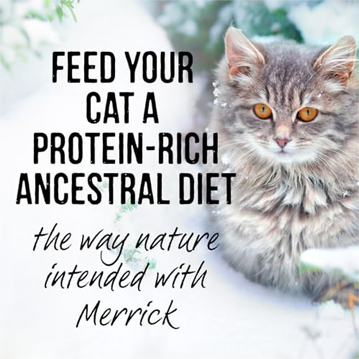 Merrick Backcountry Grain Free Gluten Free Premium Wet Cat Food, Chicken and Trout Recipe Cuts With Gravy - (Pack of 24) 3 oz. Pouches