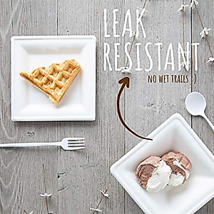 brheez 6-in Disposable Plates (60 Pack) - Eco-Friendly, Compostable Heavy Duty Square Paper Plates - 100% Natural Sugarcane Bagasse Fibre