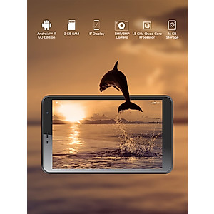 Sunshine T1 Elite Grey