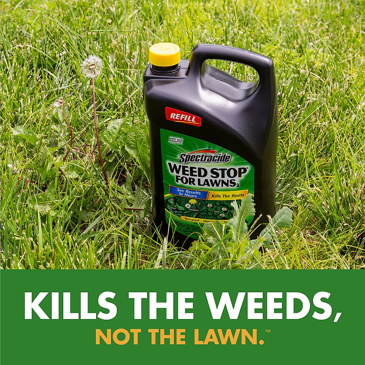 Liquid Fence Deer & Rabbit Repellent, 32 Fl Oz (Pack of 6)