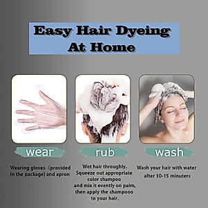 Instant Black Hair Shampoo Contained Natural Herb Ingredients 3 in 1 Hair Black Dye Shampoo, Good Choice for Gray Hair Coverage ,For Men Women White Hair, 500ML per Bottle, 16.9 Fl Oz (Pack of 1)