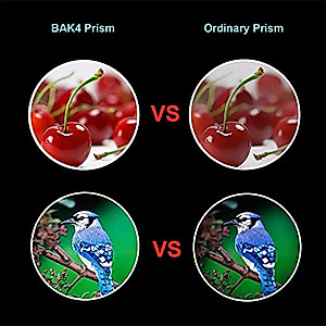 WUDILU Universal 8X Zoom Optical Phone Telescope Portable Mobile Phone Telephoto Camera Lens for Smartphone